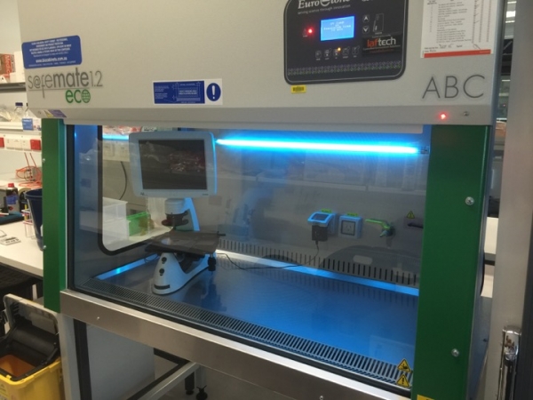 Slide19 – Cartherics