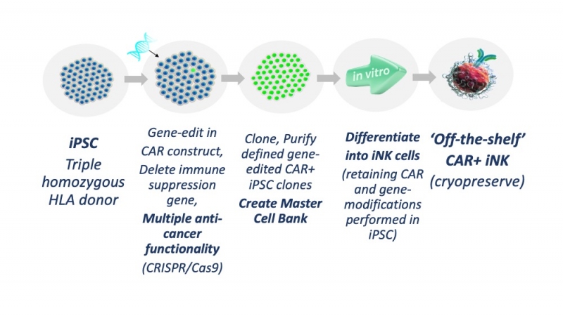 Chimeric Antigen Receptor Technology – Cartherics