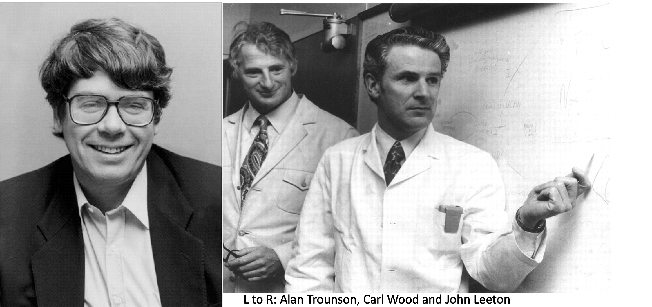 The first baby from a frozen embryo turns 40! – Cartherics